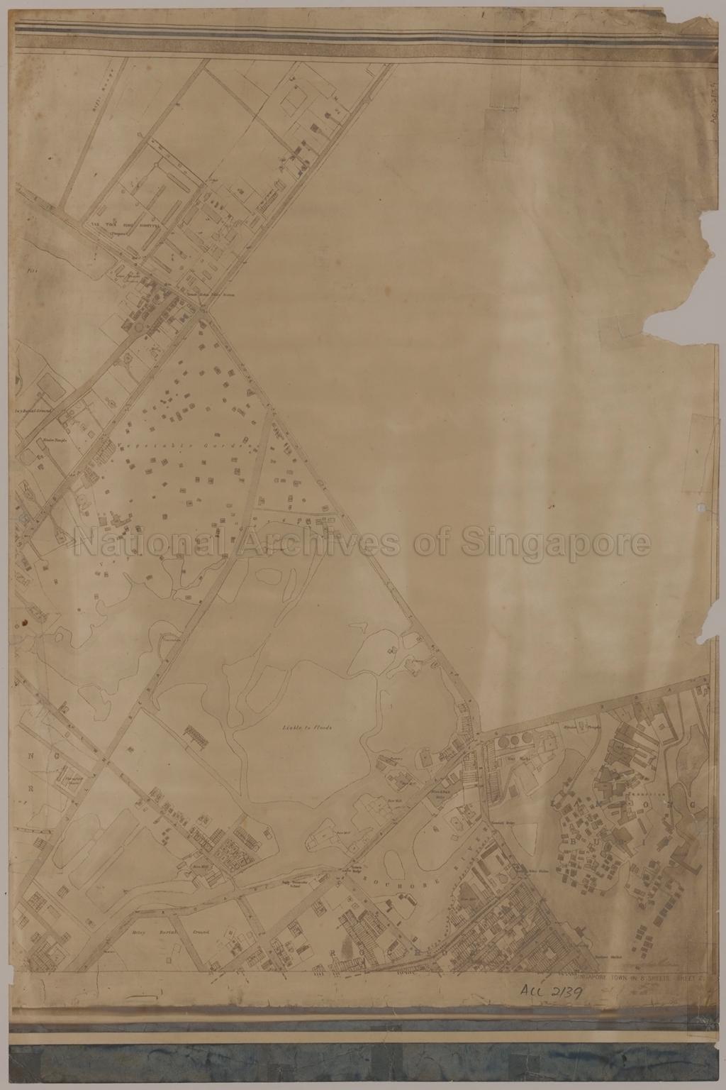 Plan of Singapore Town Showing Topographical Detail and