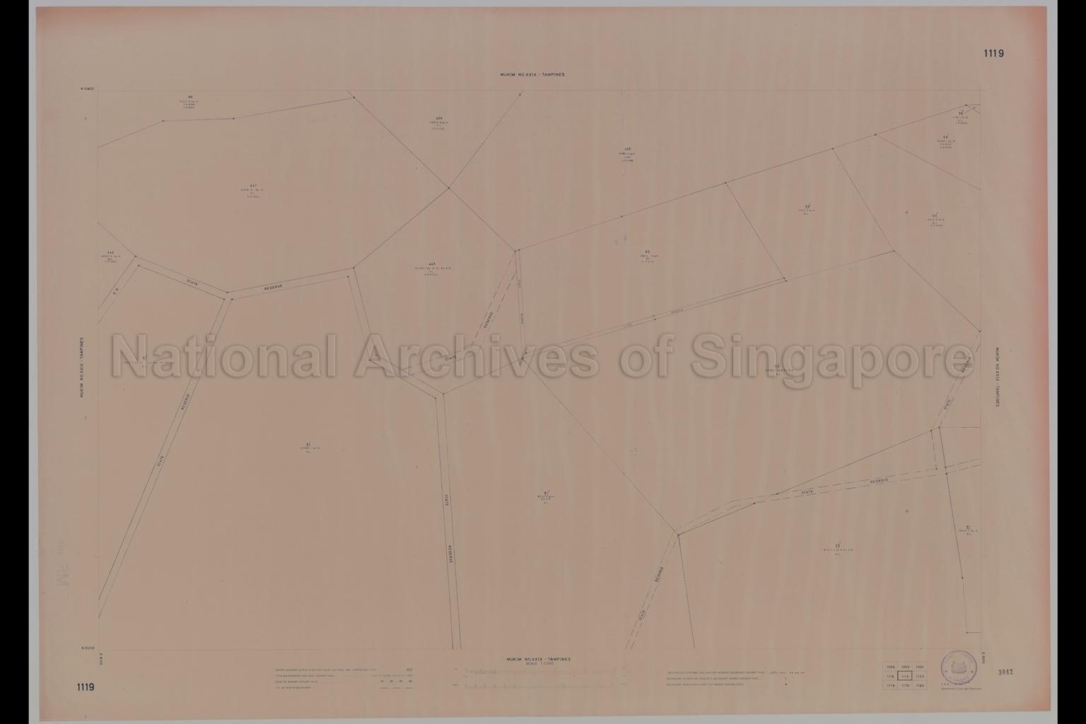 Mukim Number XXIX: Tampines