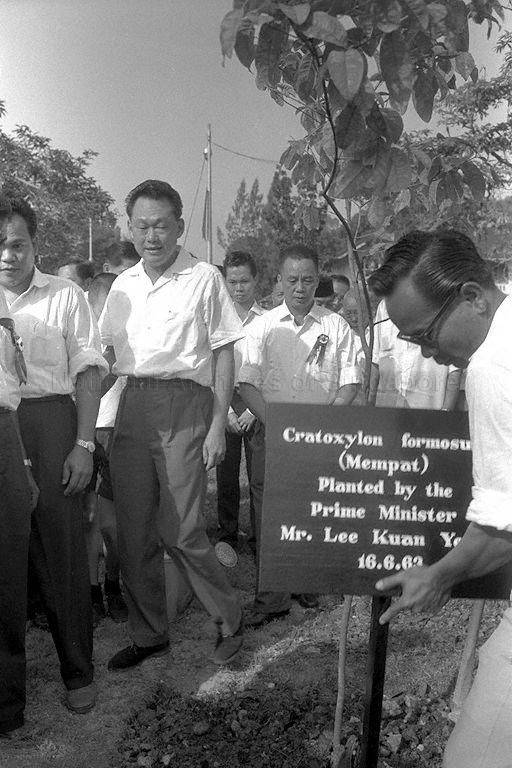 Prime Minister Lee Kuan Yew viewing his newly planted mempat