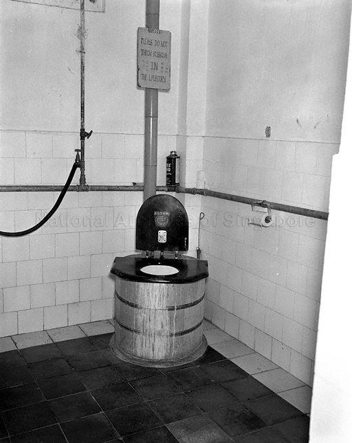 View of an early flushing toilet system