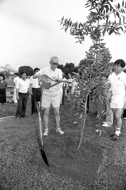 Prime Minister Lee Kuan Yew planting a damar minyak at the