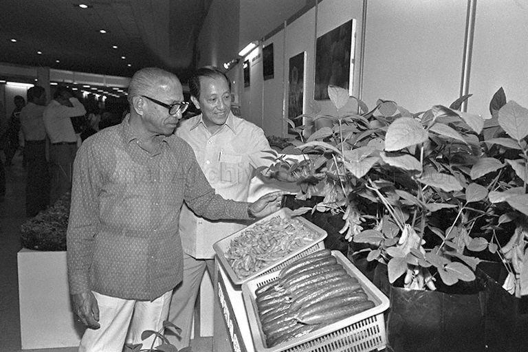 President C V Devan Nair viewing exhibits of fruits and