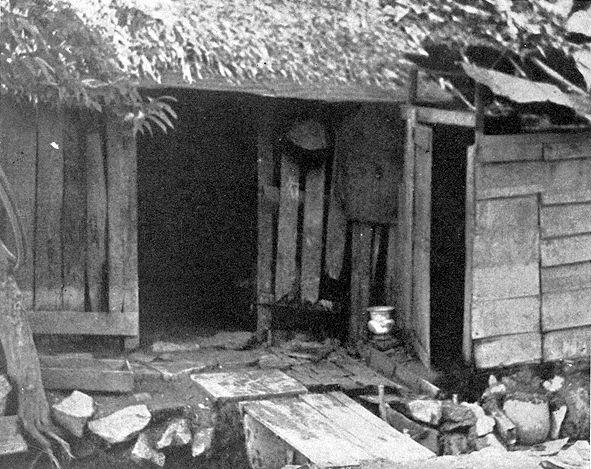 BUKIT HO SWEE ESTATE - TYPICAL PLANK AND ATTAP SLUMS,