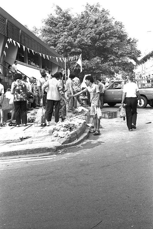 CHIA KENG VILLAGE - UPPER SERANGOON ROAD 9KM, LIM TUA TOW