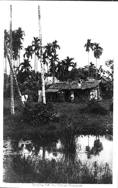Rural Chinese kampong house with plank walls and attap roofs