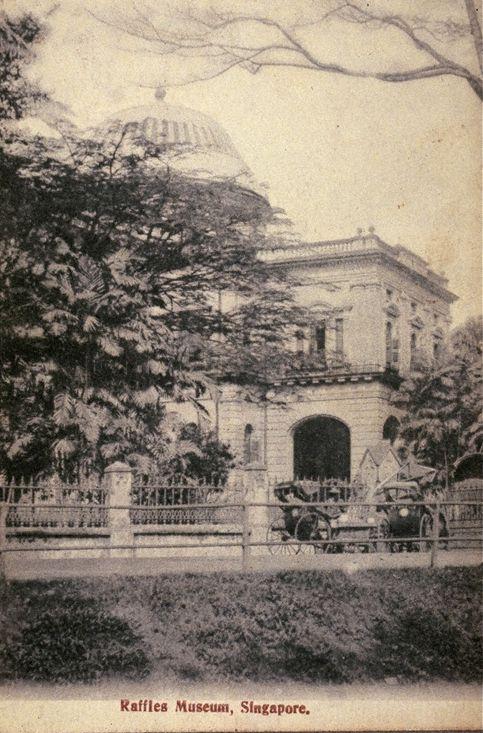 View of Raffles Museum and Library (now known as National