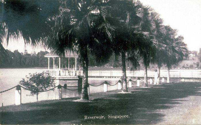 MacRitchie Reservoir, Singapore. Completed in 1867, it was