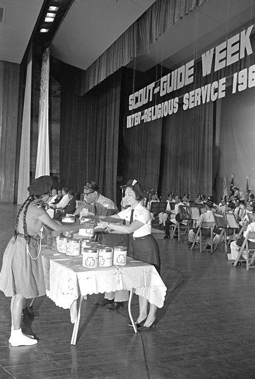 Representatives from scout districts and guide districts