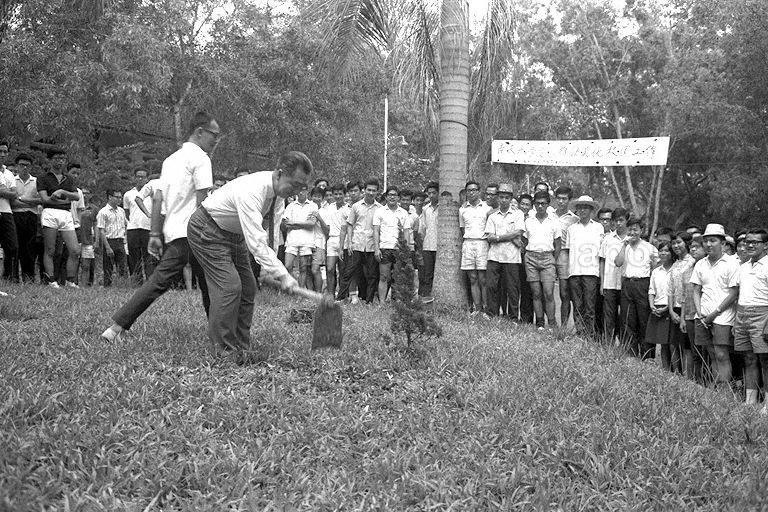 Picture of tree planting event at Nanyang University.