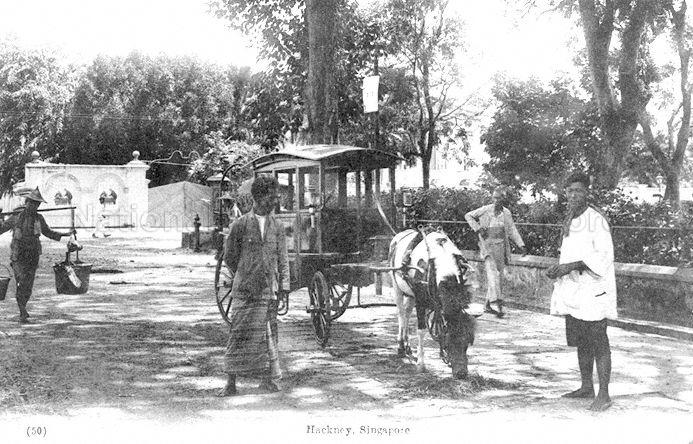 A four-wheeled hackney carriage which was the most popular