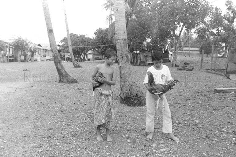 Two boys carrying their roosters in a Malay kampong at Pulau