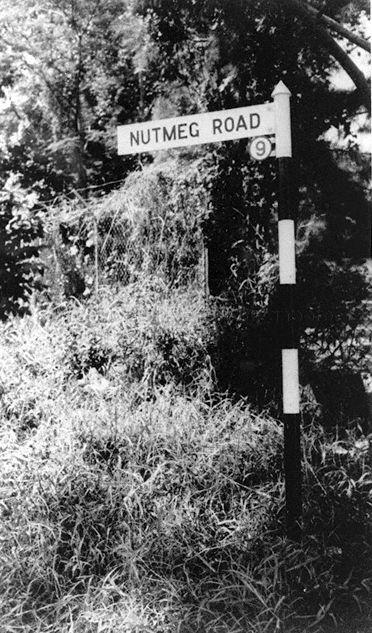 NUTMEG ROAD SIGN AT MOUNT ELIZABETH