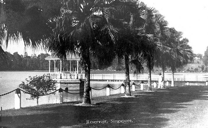 MacRitchie Reservoir, Singapore. Completed in 1867, it was
