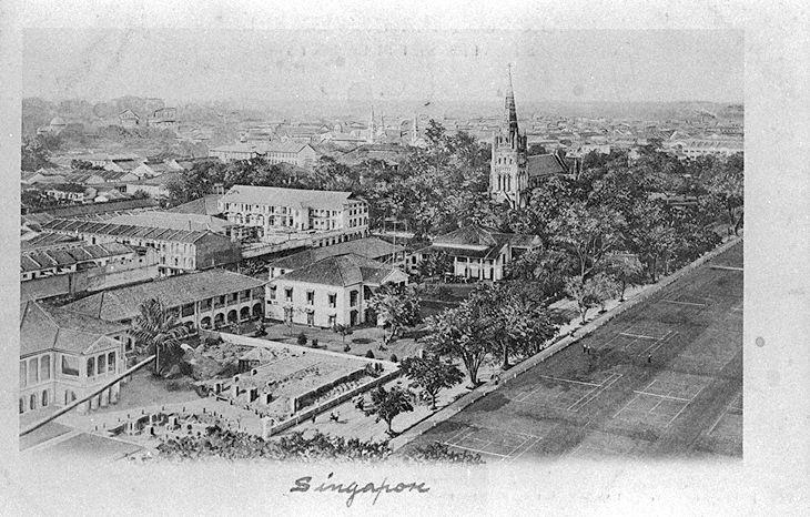Raffles Plain showing (from bottom left to top right) the