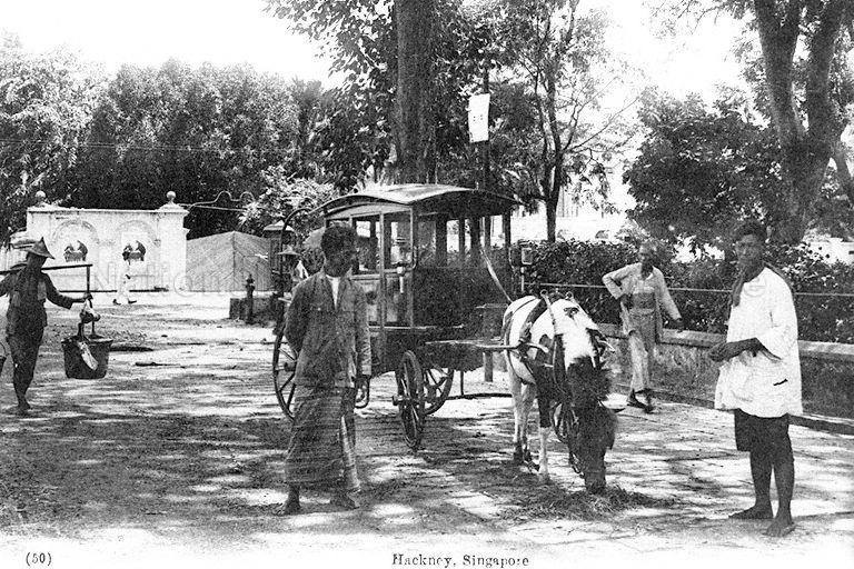 A four-wheeled hackney carriage which was the most popular