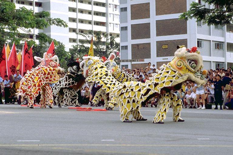 Lion dance performance during Chingay parade at Ang Mo Kio