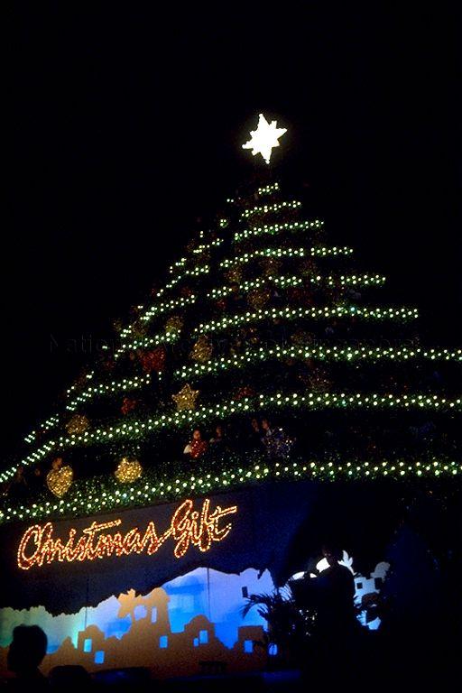 LIVE SINGING CHRISTMAS TREE