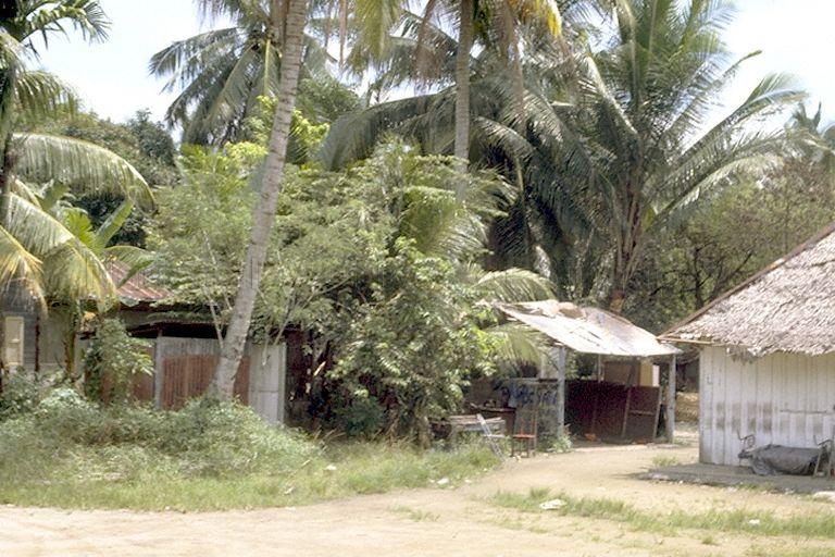 KAMPONG WAK HASSAN, SEMBAWANG - MALAY ATTAP HOUSE