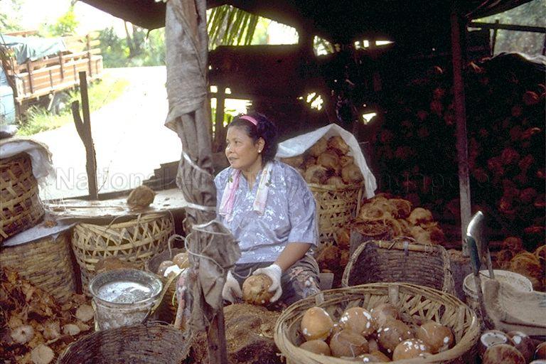 KAMPONG RENJONG - ECONOMIC LIFE