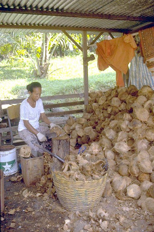 KAMPONG RENJONG - ECONOMIC LIFE