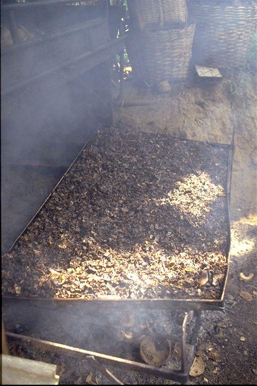 KAMPONG RENJONG - ECONOMIC LIFE