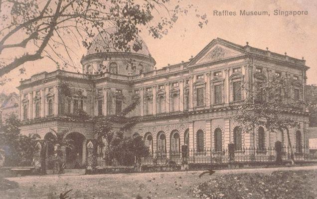 Raffles Library and Museum (now the National Museum of