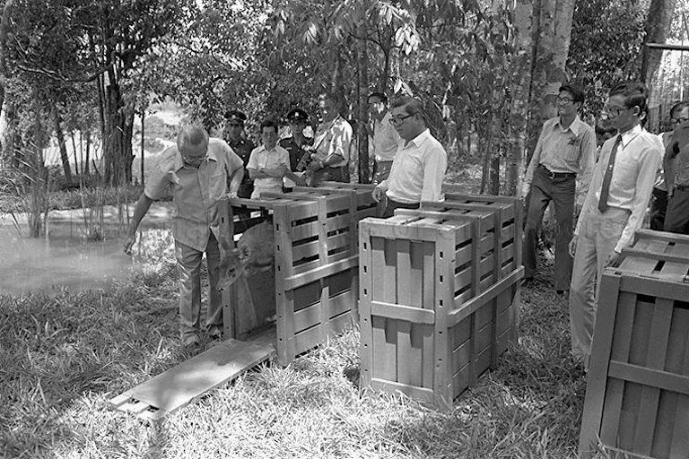 MINISTER FOR THE ENVIRONMENT LIM KIM SAN OPENS SINGAPORE