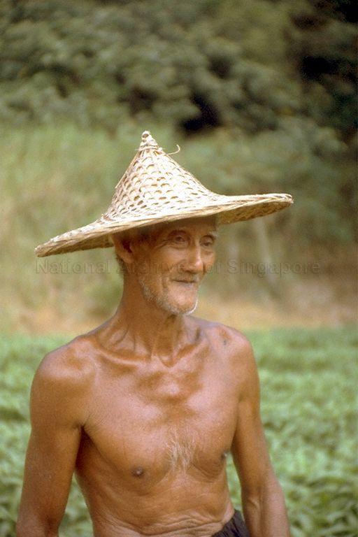 VEGETABLE FARMER AT JALAN MURAI, OPPOSITE LIM CHU KANG ROAD
