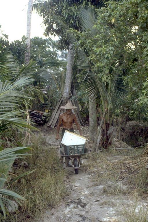 VEGETABLE FARMER AT JALAN MURAI, OPPOSITE LIM CHU KANG ROAD