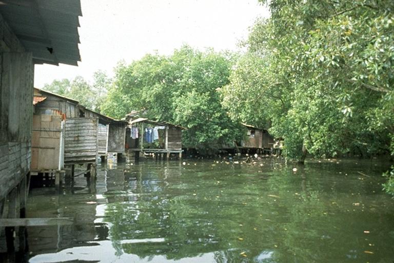 SINGAPORE - KAMPONG LIFE - KAMPONG LORONG FATIMAH