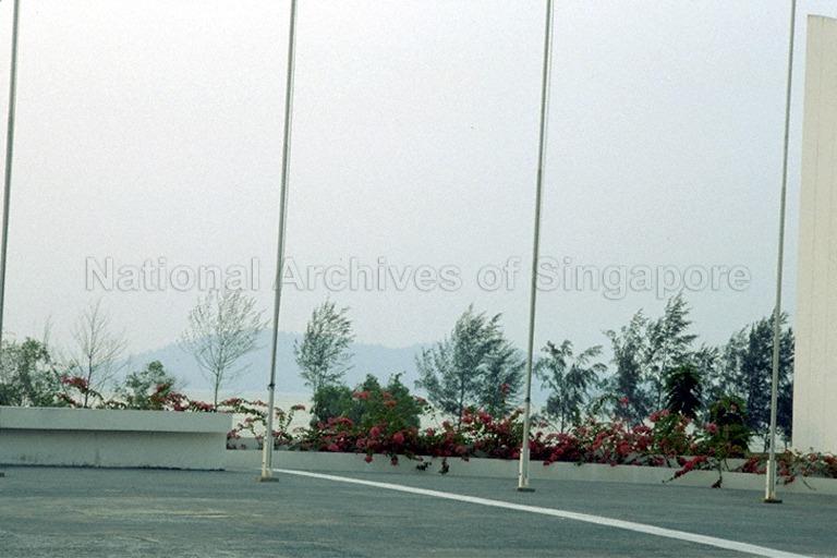 View of plants at Yayasan Sabah Tower (Menara Tun Mustapha)