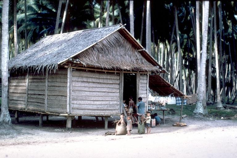 Traditional attap house in Northern part of Perak