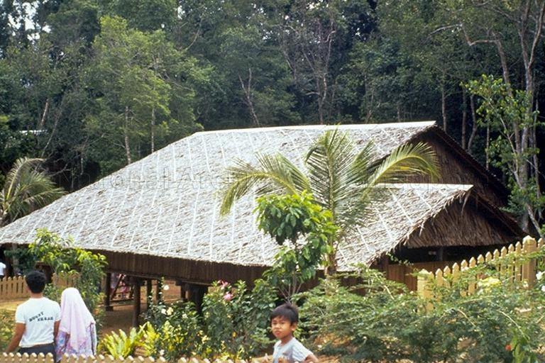 MALAYSIA - ARCHITECTURE : TRADITIONAL ATTAP HOUSES