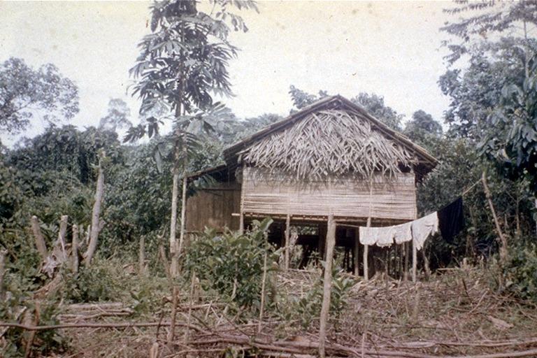 A longhouse in Sabah