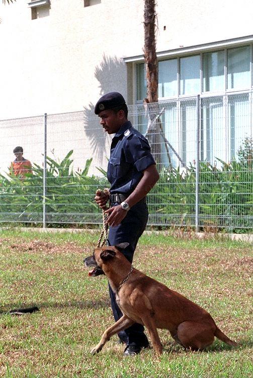 Police dog display during official opening of the Braddell