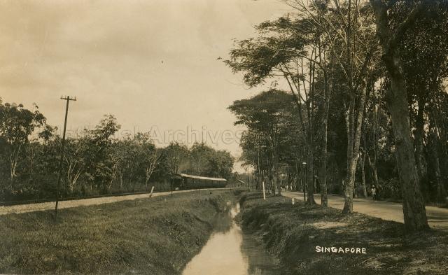 Train on the original 1903 Singapore and Kranji Railway