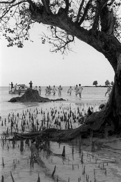 Detainees arriving at Pulau Senang