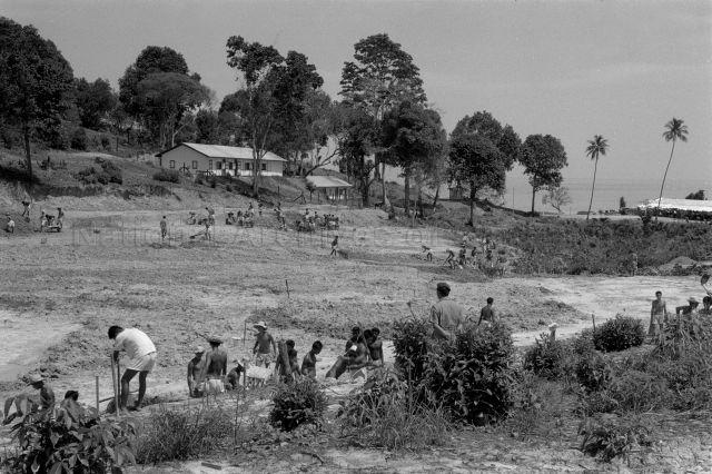 Visit to Pulau Senang - General view of Pulau Senang