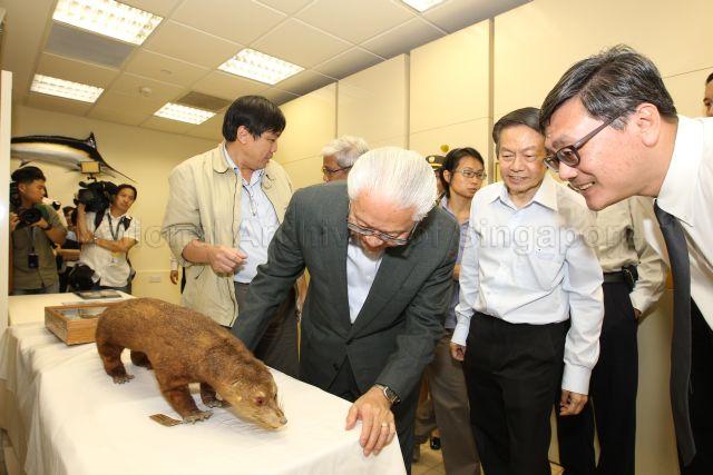 Taken at: Visit by President Tony Tan to the Raffles Museum