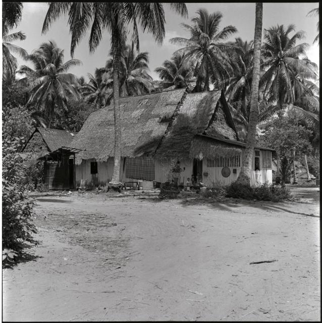 The tropical equivalent of Britain’s thatched roofs, an