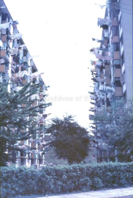 Photograph of Queen Street public housing blocks