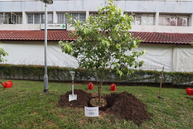 Taken at: Ang Mo Kio Town Council's Tree Planting Day 2022