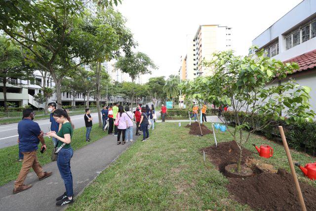 Taken at: Ang Mo Kio Town Council's Tree Planting Day 2022