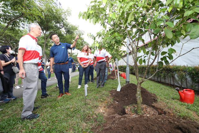 Taken at: Ang Mo Kio Town Council's Tree Planting Day 2022