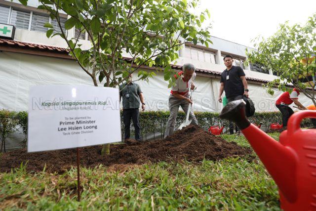 Taken at: Ang Mo Kio Town Council's Tree Planting Day 2022