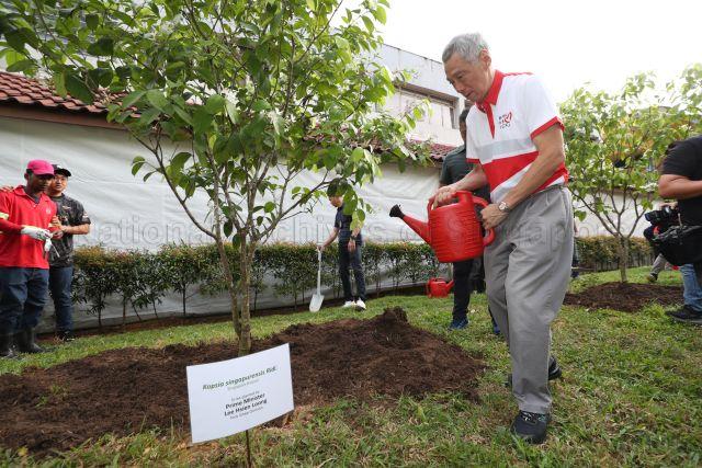 Taken at: Ang Mo Kio Town Council's Tree Planting Day 2022