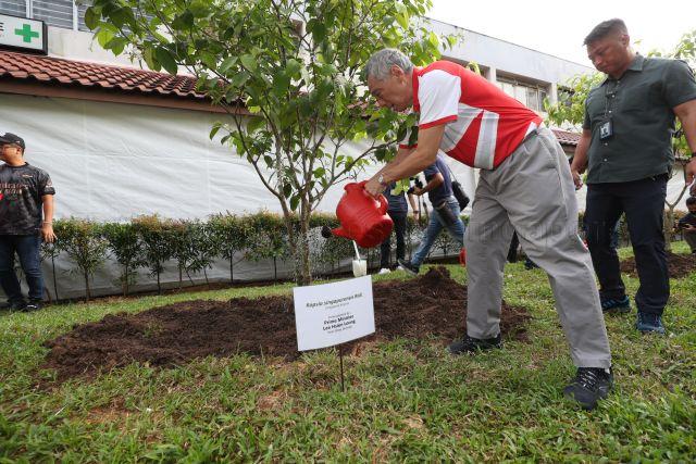 Taken at: Ang Mo Kio Town Council's Tree Planting Day 2022