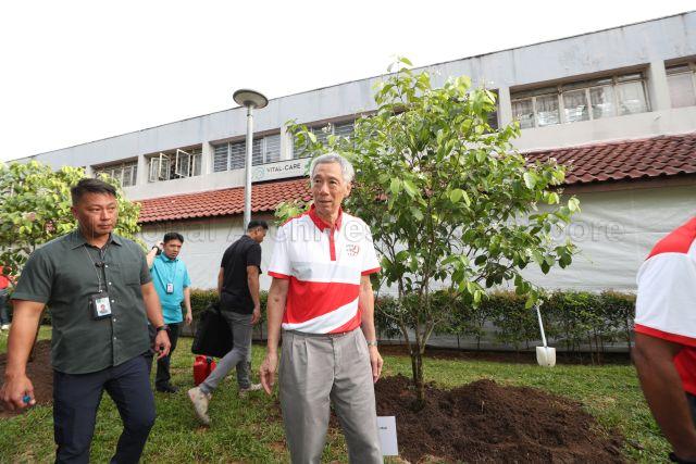 Taken at: Ang Mo Kio Town Council's Tree Planting Day 2022
