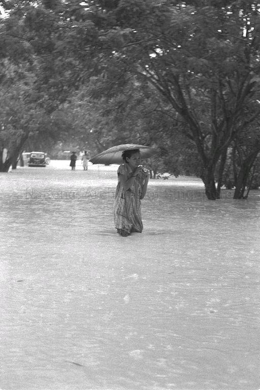 THE HEAVIEST RAIN IN 35 YEARS CAUSED ONE OF THE WORST FLOODS