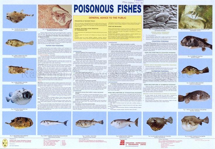 Poisonous fishes (Publication no 5)
